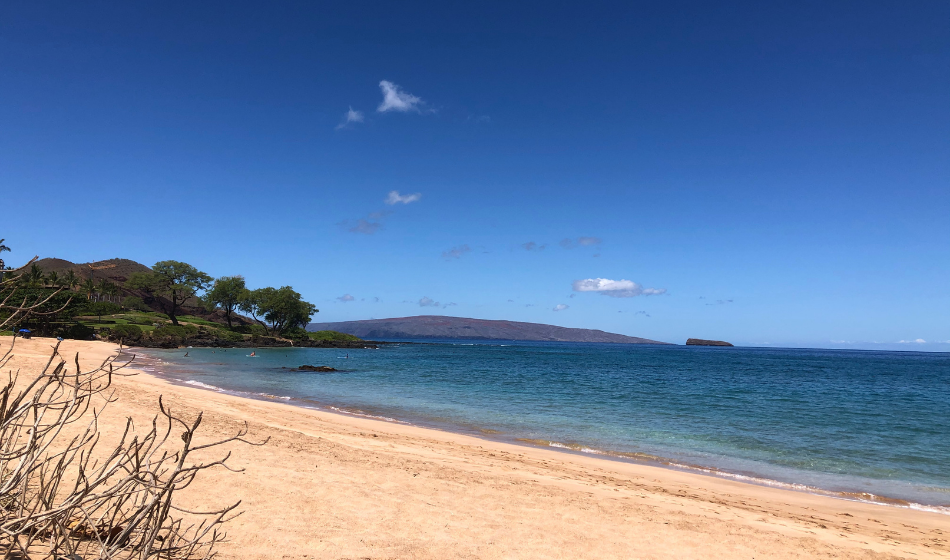 Destination Travel with a Twist - Always Aloha Travel - Hawaii ...